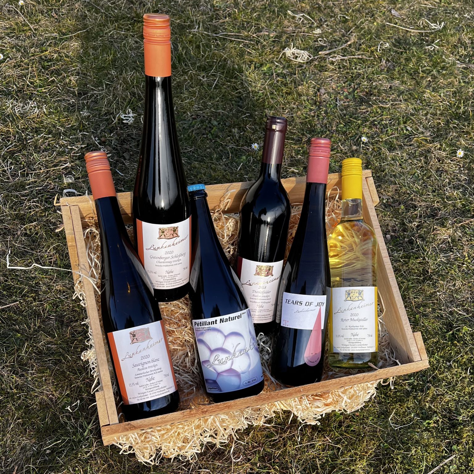 Paket3: Rotwein trocken – feinherb – Weingut Ewald Lunkenheimer